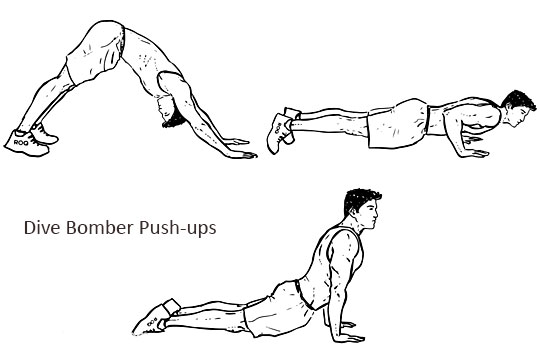 Complete Bodyweight Exercise Guide | EFitnessHelp