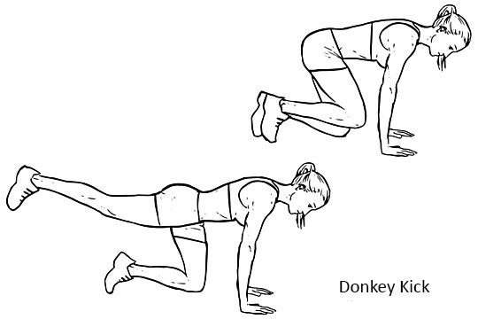 Complete Bodyweight Exercise Guide | EFitnessHelp