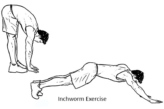 Complete Bodyweight Exercise Guide | EFitnessHelp