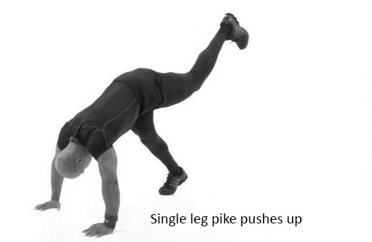 Complete Bodyweight Exercise Guide | EFitnessHelp