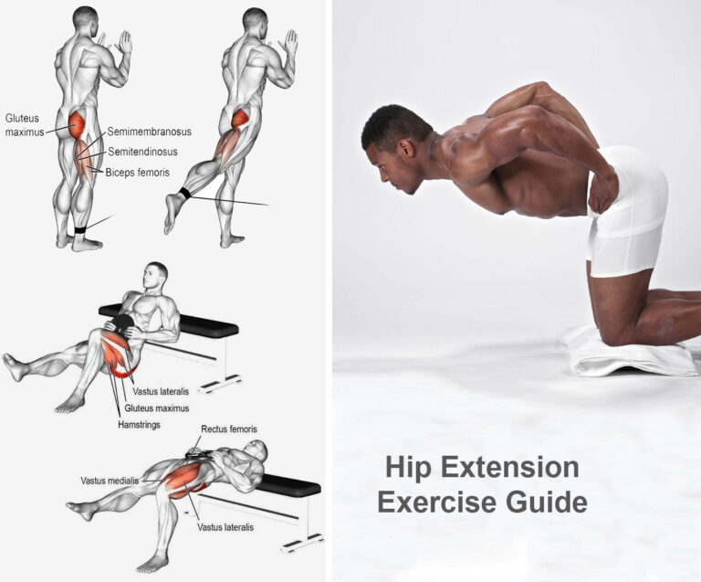 Hip Extension Exercise Guide [Butt & Glute] | EFitnessHelp