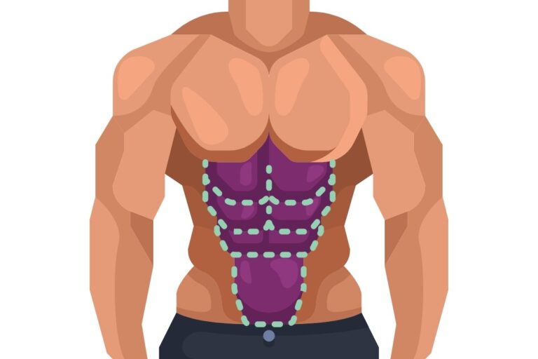 The Best Abs Workouts for Men and Women | EFitnessHelp