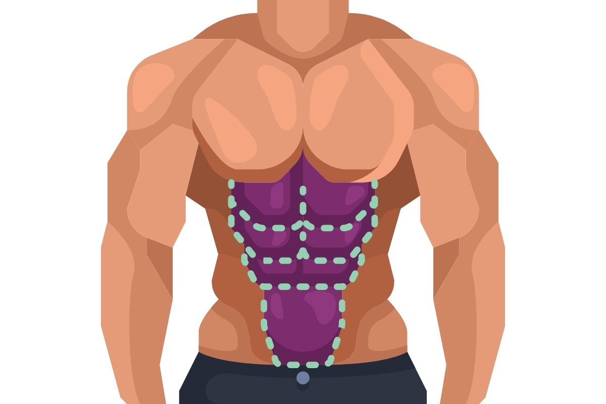 The Best Abs Workouts for Men and Women | EFitnessHelp